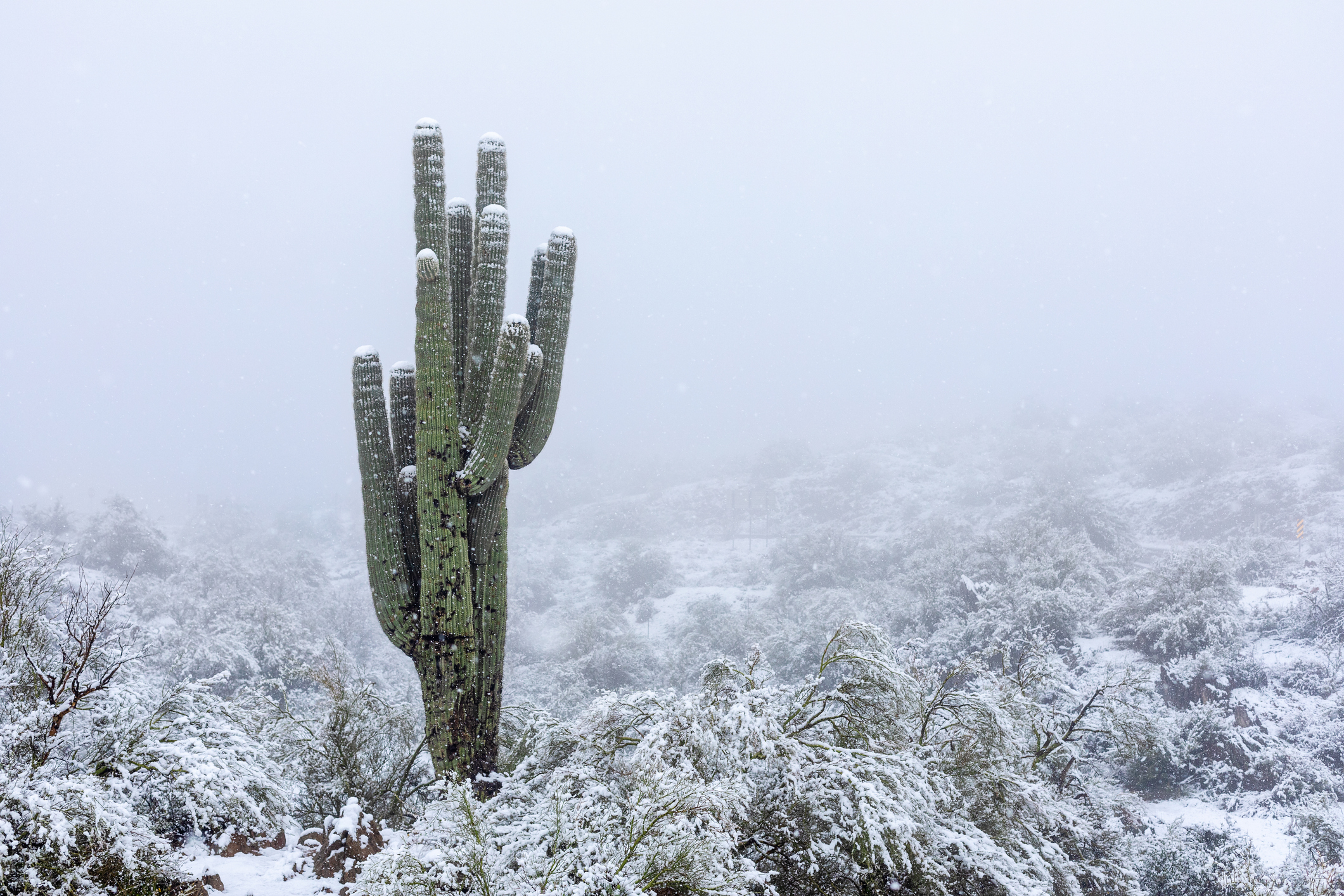 Has it ever snowed on Christmas in Phoenix?