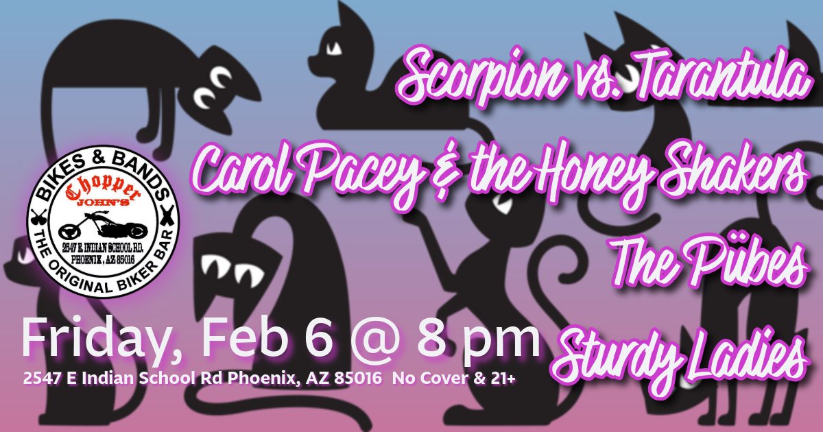 Scorpion vs. Tarantula | Phoenix New Times